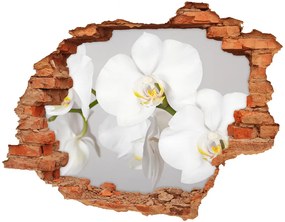 Wallmuralia Samolepící nálepka na zeď Orchidej 90x70 cm