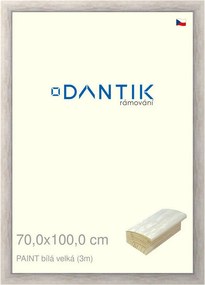DANTIK rámeček 70x100 | PAINT bílá velká (Plexi Čiré)