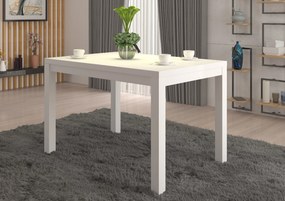 ADRK Furniture Konferenční stolek OLAF 2 120x80 CT-Ola-2-W-H070