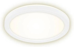 Briloner 7150-416 - LED Stropní svítidlo SLIM LED/12W/230V pr. 19 cm