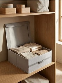 Sinsay - Skládací úložný box s rukojetí a víkem - bílá