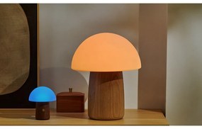 Bílá/v tmavě přírodní barvě LED stolní lampa (výška 12,5 cm) Alice Mushroom – Gingko