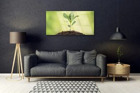 Obraz na skle Půda Rostlina Růst 125x50 cm