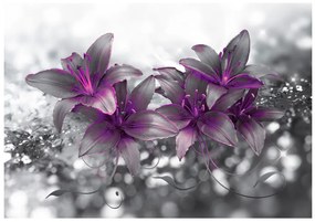 Fototapeta - Tajemství lilie 300x210 + zdarma lepidlo