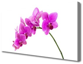 Obraz na plátně Vstavač Květ Orchidej 125x50 cm