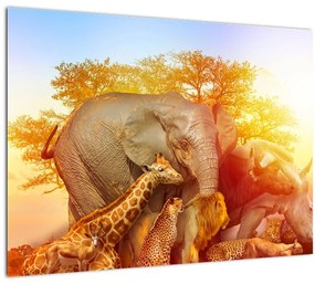 Obraz afrických zvířátek (70x50 cm)