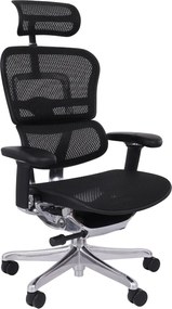 Kancelářská židle Ergohuman 2 Elite ST BS black