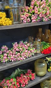 Kytice 7ks žlutých realistických tulipánů - 31cm