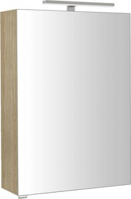 Sapho Riwa - Zrcadlová skříňka s LED osvětlením 50x70x17 cm, jilm bardini RIW050-0013