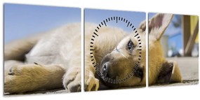 Obraz ležícího štěněte (s hodinami) (90x30 cm)