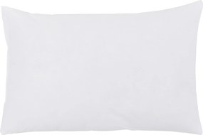 XXXLutz VÝPLŇ POLŠTÁŘE 40/60 cm Boxxx - Dekorační polštáře - 006857002801