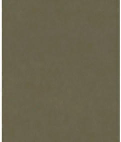Vliesová tapeta jednobarevná hnědá 330120 / Tapety na zeď Paraiso (0,53 x 10,05 m) Rasch