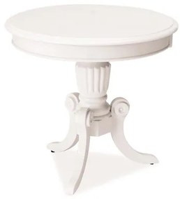 Konferenční stolek Nona (bílá + bílá). 1050558