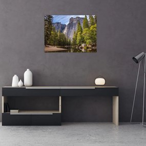 Obraz - Pod Yosemite skálou (70x50 cm)