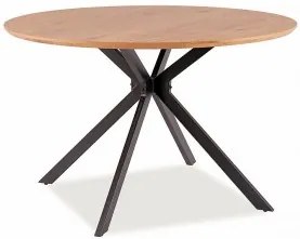 Casarredo Jídelní stůl ASTER 120 dub/černá mat