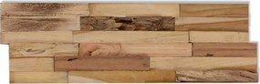 vidaXL Nástěnné obkladové panely 10 ks 1,03 m² masivní teakové dřevo [326170] Barva: Přírodní