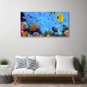 Obraz na plátně Korálový Útes Ryba Příroda 125x50 cm