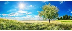 DIMEX | Panoramatická vliesová fototapeta na zeď Strom na louce MP-2-0096  | 375 x 150 cm | zelená, modrá