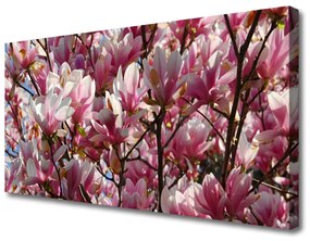 Obraz na plátně Větve Květiny Rostlina 140x70 cm