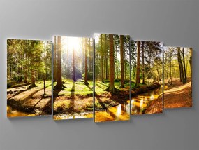 Liox Obraz řeka v lese Rozměr: 250 x 110 cm