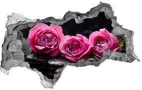 Wallmuralia Samolepící díra na stěnu Růžové růže 95x73 cm