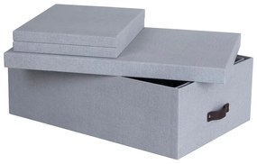 Světle šedé kartonové úložné boxy s víkem v sadě 3 ks 31x47x15 cm Inge – Bigso Box of Sweden