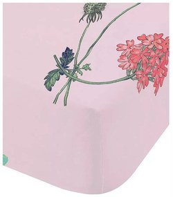 Napínací dětské prostěradlo na jednolůžko 90x190 cm Butterfly Garden – RHS