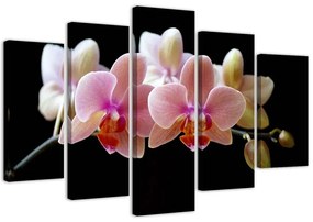 Gario Obraz na plátně Růžová orchidej - 5 dílný Rozměry: 100 x 70 cm