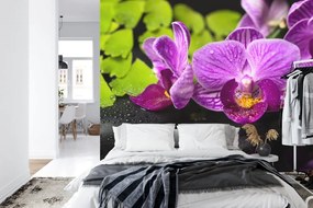 Fototapeta Orchidové Lázně Omyvatelný vlies 90x60