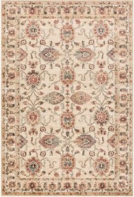 Béžový koberec 160x220 cm Raja – Asiatic Carpets