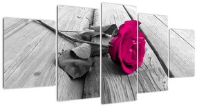 Obrazy květin - růže