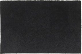 Rohožka před dveře přírodní 40 x 60 cm kokosové vlákno 155610