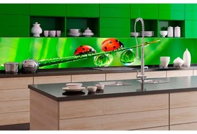 DIMEX | Fototapeta do kuchyně Beruška KI-350-015 | 350 x 60 cm | zelená, červená, černá