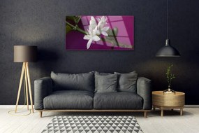 Obraz na skle Květiny Úhonky Příroda 100x50 cm