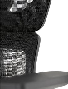Ergonomická kancelářská židle LEXON - černá síťovina