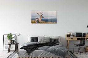 Obraz na skle jelen hory 120x60 cm