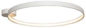 Moderní LED stropní lampa Circle 78 bílé