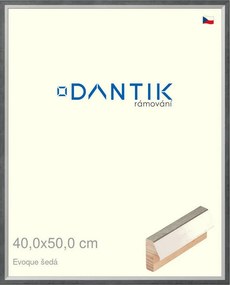 DANTIK rámeček 40x50 | EVOQUE šedá (Plexi Čiré)