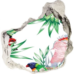 Wallmuralia Díra 3D fototapeta nástěnná Tropy ptáci 75x75 cm