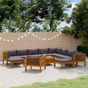 12dílná zahradní sedací souprava s poduškami masivní akácie 3086911