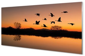 Obraz na skle Létající ptáky sunset 100x50 cm