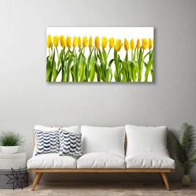 Obraz na plátně Tulipány Květiny Příroda 100x50 cm