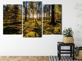 Vícedílný obraz Ranní Sluneční Paprsky V Lese Nedostatek Nedostatek Přírodní plátno 180x120