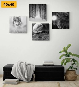 Set obrazů tajuplný vlk v černobílém provedení - 4x 60x60 cm