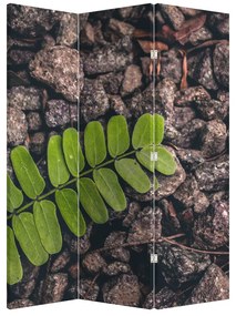 Paraván - Zelená rostlina (126x170 cm)