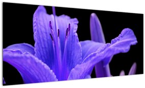 Obrazy květiny (100x40cm)
