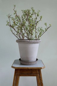 Malý květináč Emilia s podstavcem 30 cm šedý