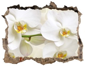Wallmuralia Samolepící nálepka fototapeta Orchidej 95x64 cm