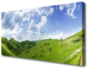 Obraz na plátně Hora Louka Příroda 100x50 cm