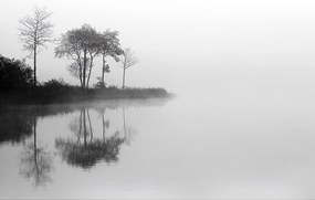Obraz na plátně By the Lake I